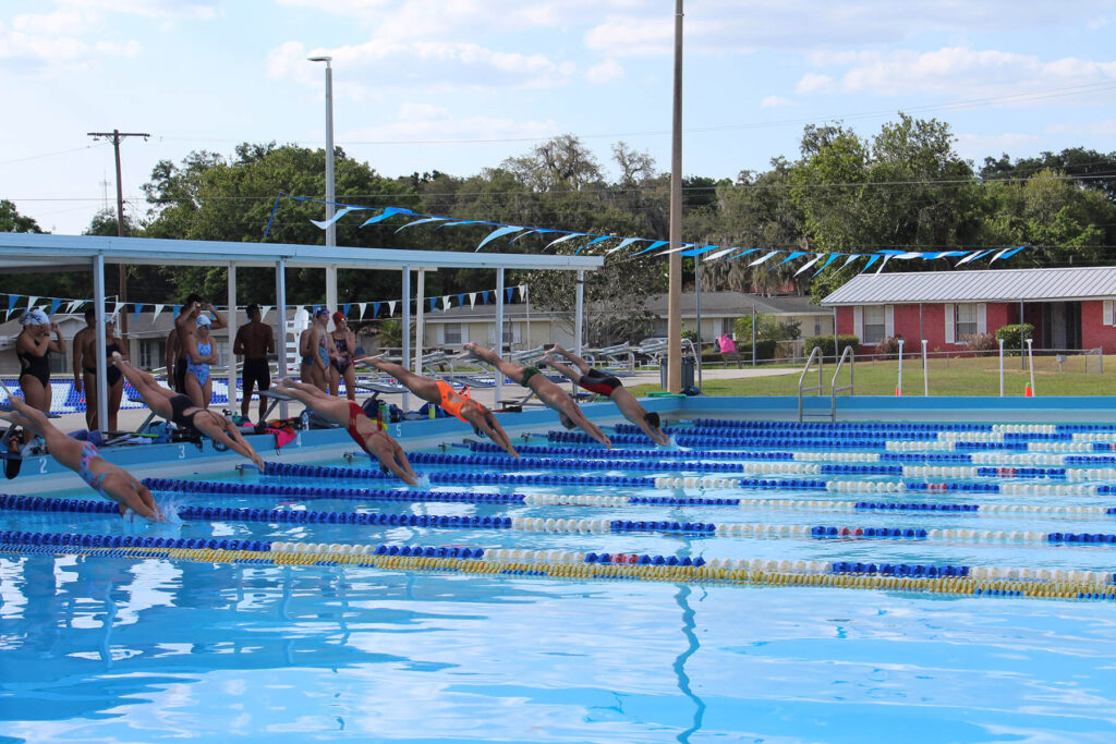 Swimming to the Top: Strategies for Achieving Success in School and ...